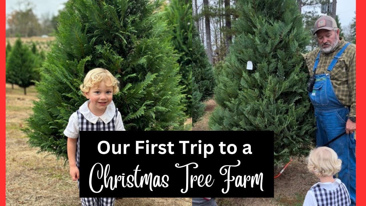 Our First Trip to a Christmas Tree Farm | Grace Monroe Home